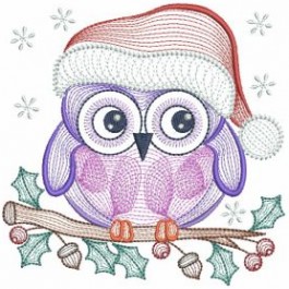 Ace Points Embroidery | Secrets Of Embroidery|Rippled Christmas Owls