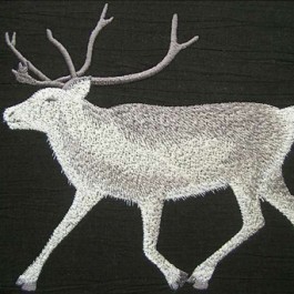 Dancing Thread | Secrets Of Embroidery|Animals and Birds