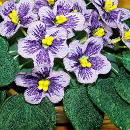Embroider Shoppe | Secrets Of Embroidery|Purple Fabric African Violets